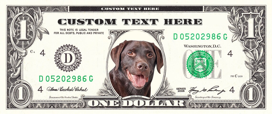 Your Pet on a Dollar Custom Dollar Bill Dog Dollar Bills - Etsy