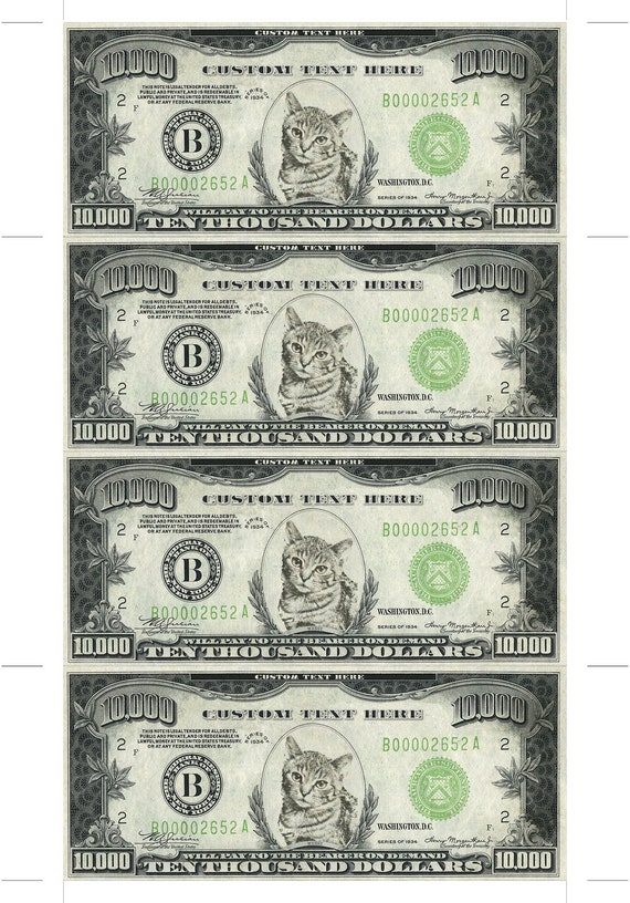 Cat With Money