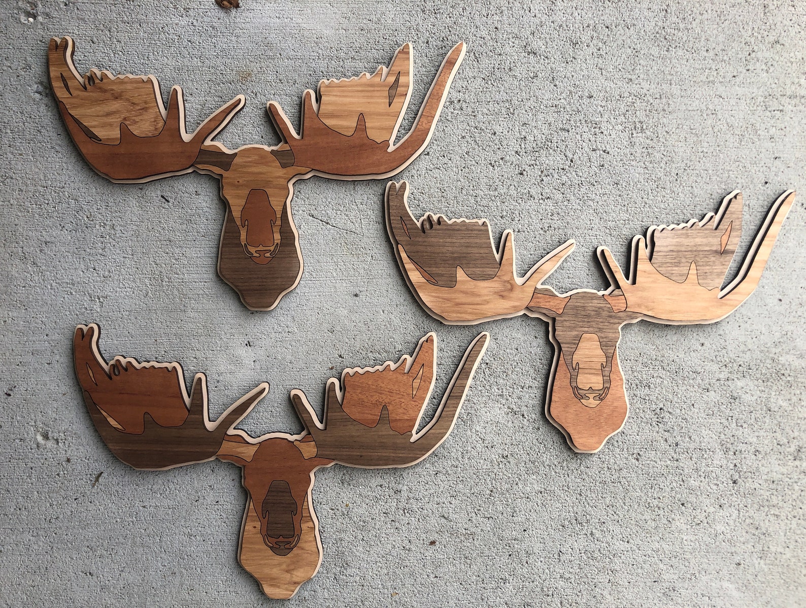 Moose Head / Moose Art / Wooden Moose Head - Etsy