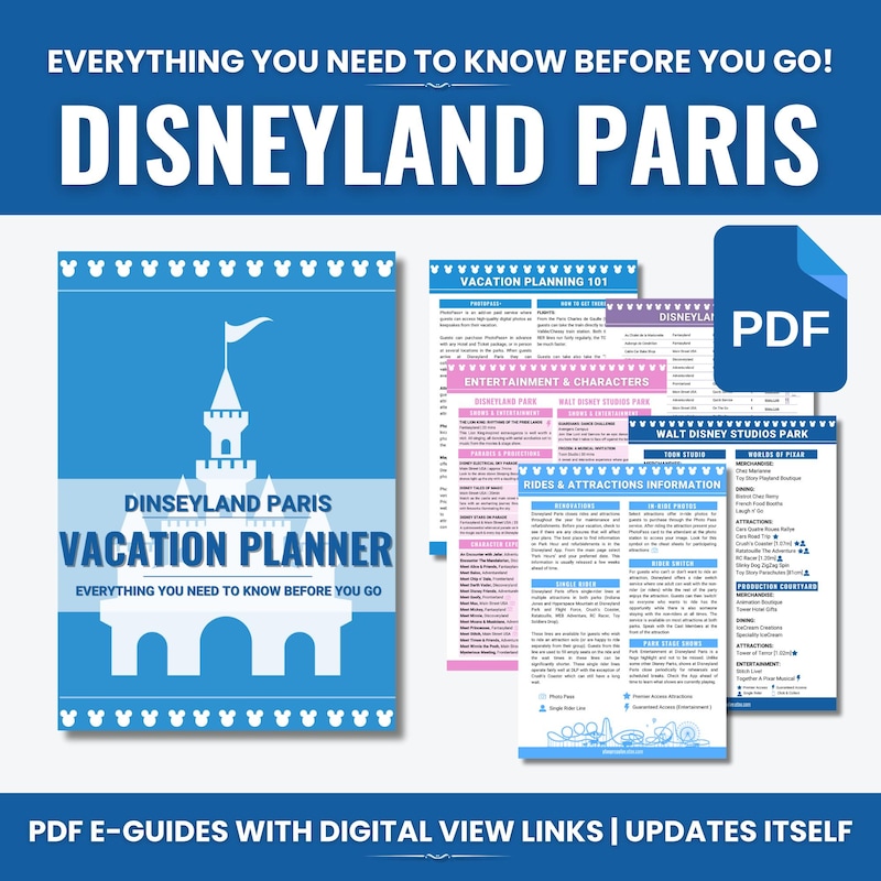 Disneyland Pass Calendar - Etsy