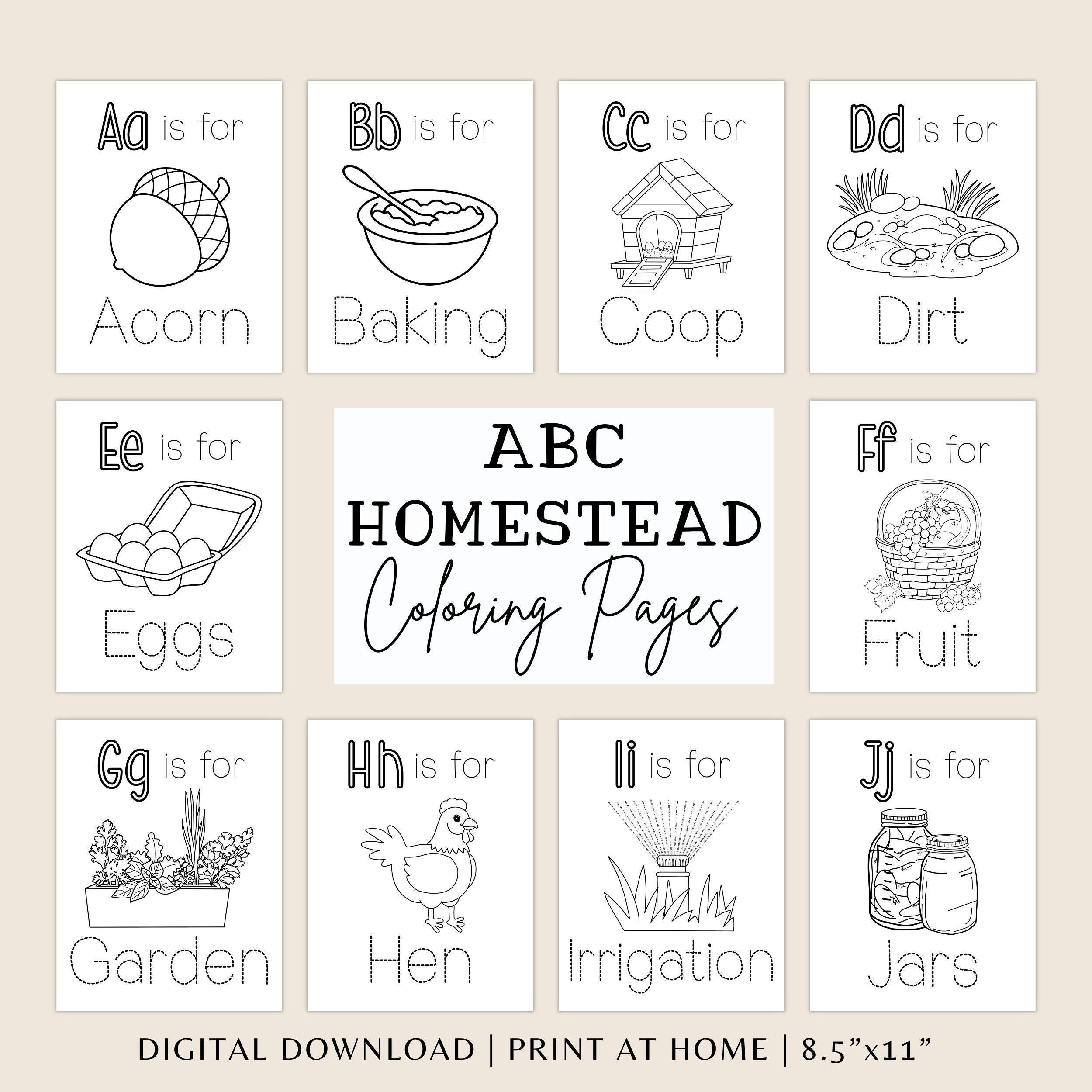 Homestead ABC Coloring Pages: Kids Pre-k Homeschool (digital Download ...