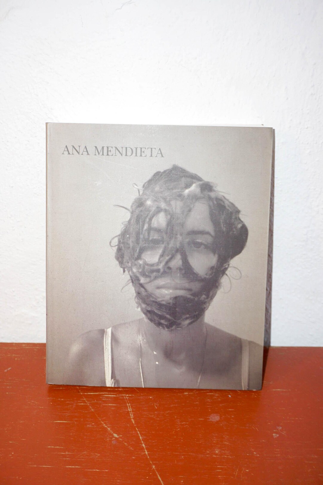 Ana Mendieta Exhibition Catalogue * Art Book Rare Vintage Catalogue ...