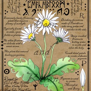 Peacebloom Alchemy Page, Herbalist Book of Shadows, World of Warcraft ...