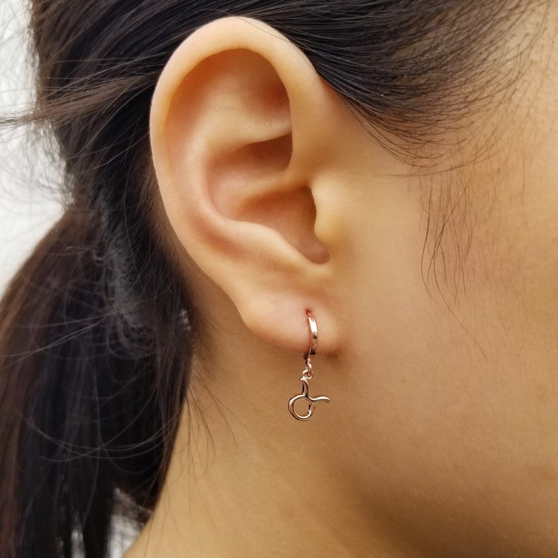 Astrological Sign Earrings Zodiac Earrings Zodiac Jewelry | Etsy