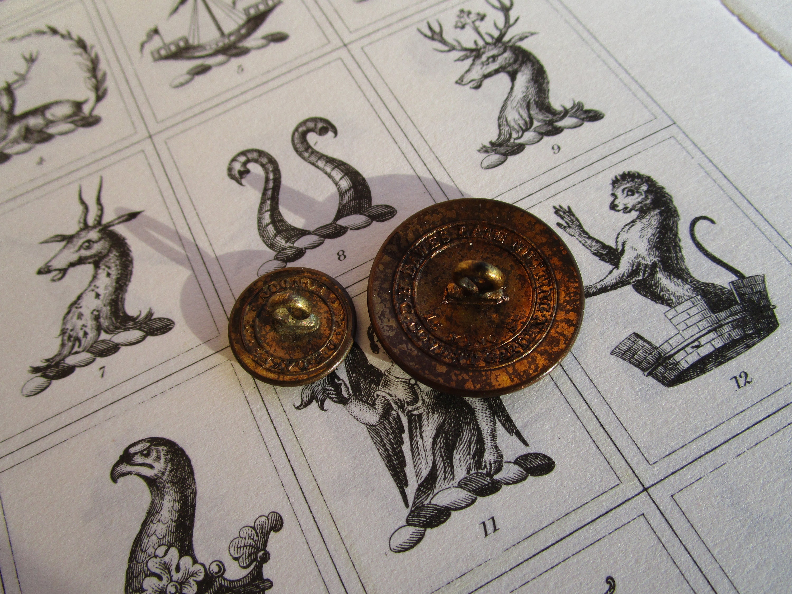 Antique British Livery Button Featuring an Ermine Talbot Dog and an ...