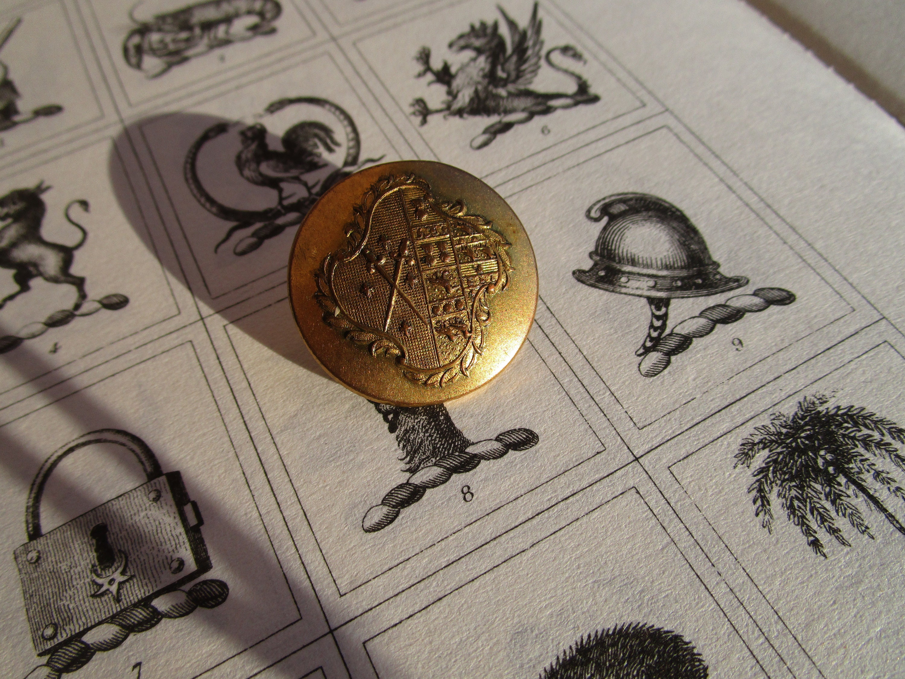 Antique British Lozenge Livery Button Featuring a Ladies Coat of Arms ...
