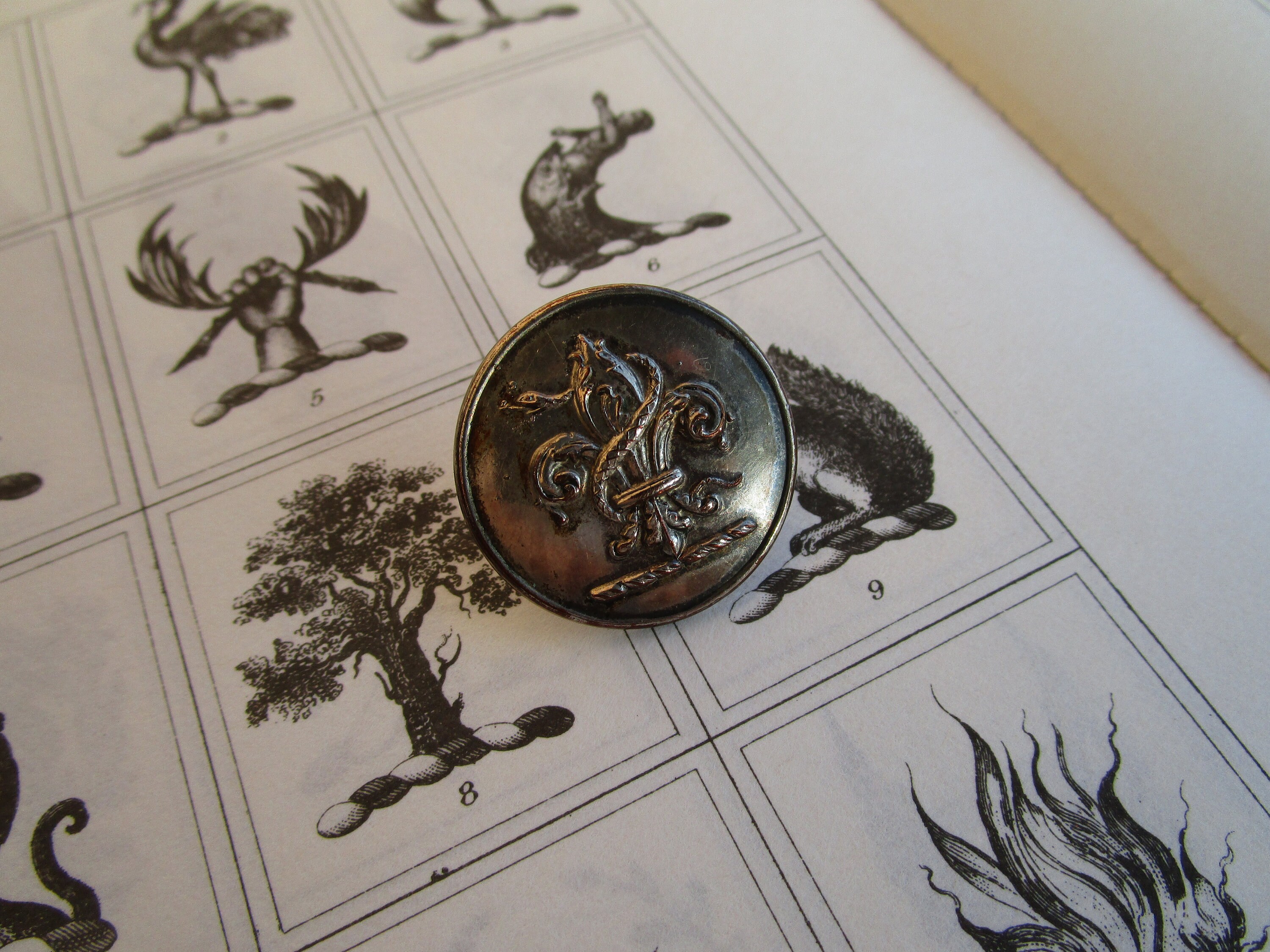 Antique British Livery Button Featuring a Fleur De Lys and a Snake - Etsy