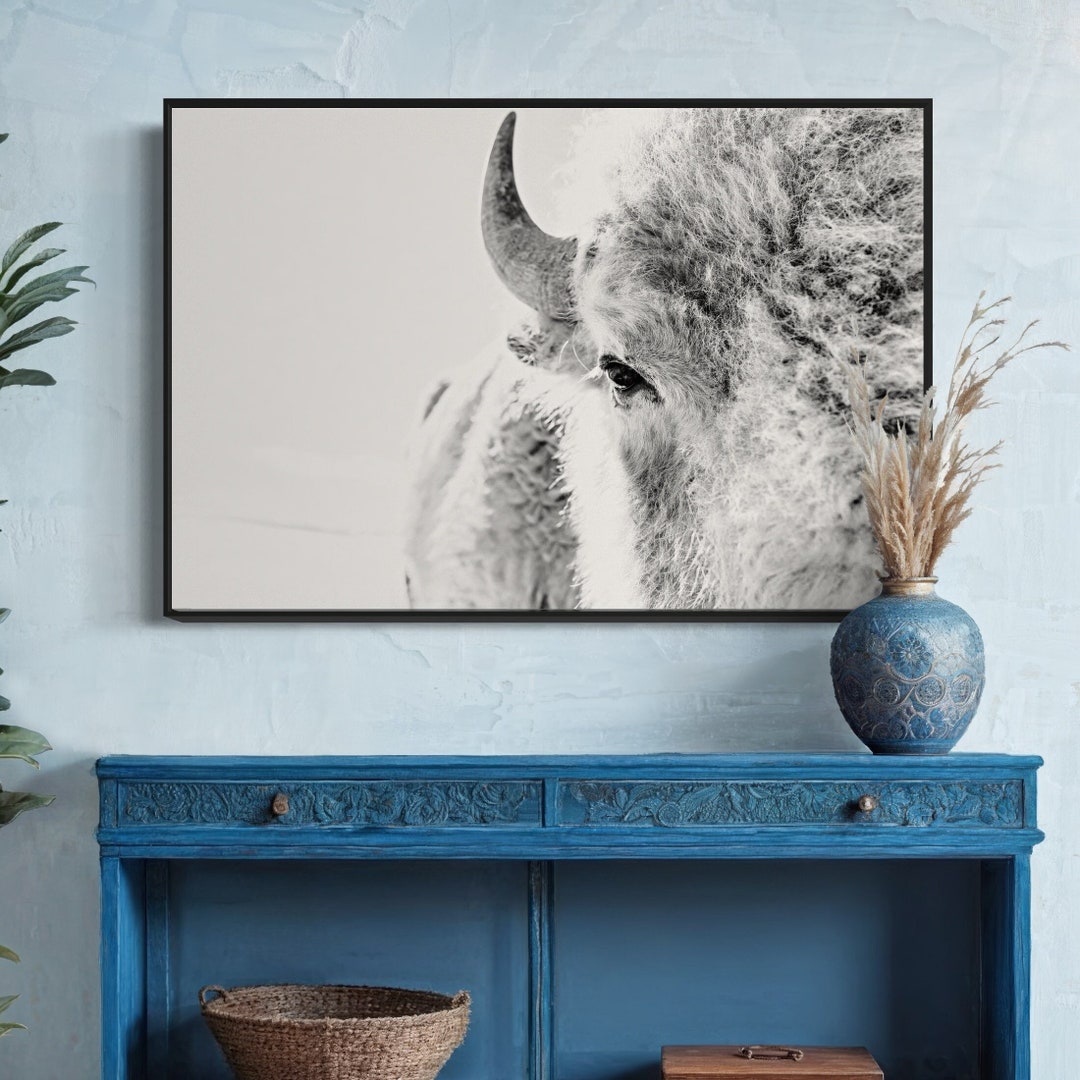 White Buffalo Canvas Print - White Bison Photography - Black and White ...