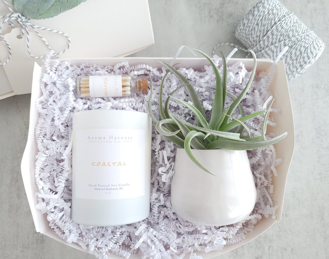 Candle & Large Air Plant Gift Box | Gift for Host, Birthday Gift for ...
