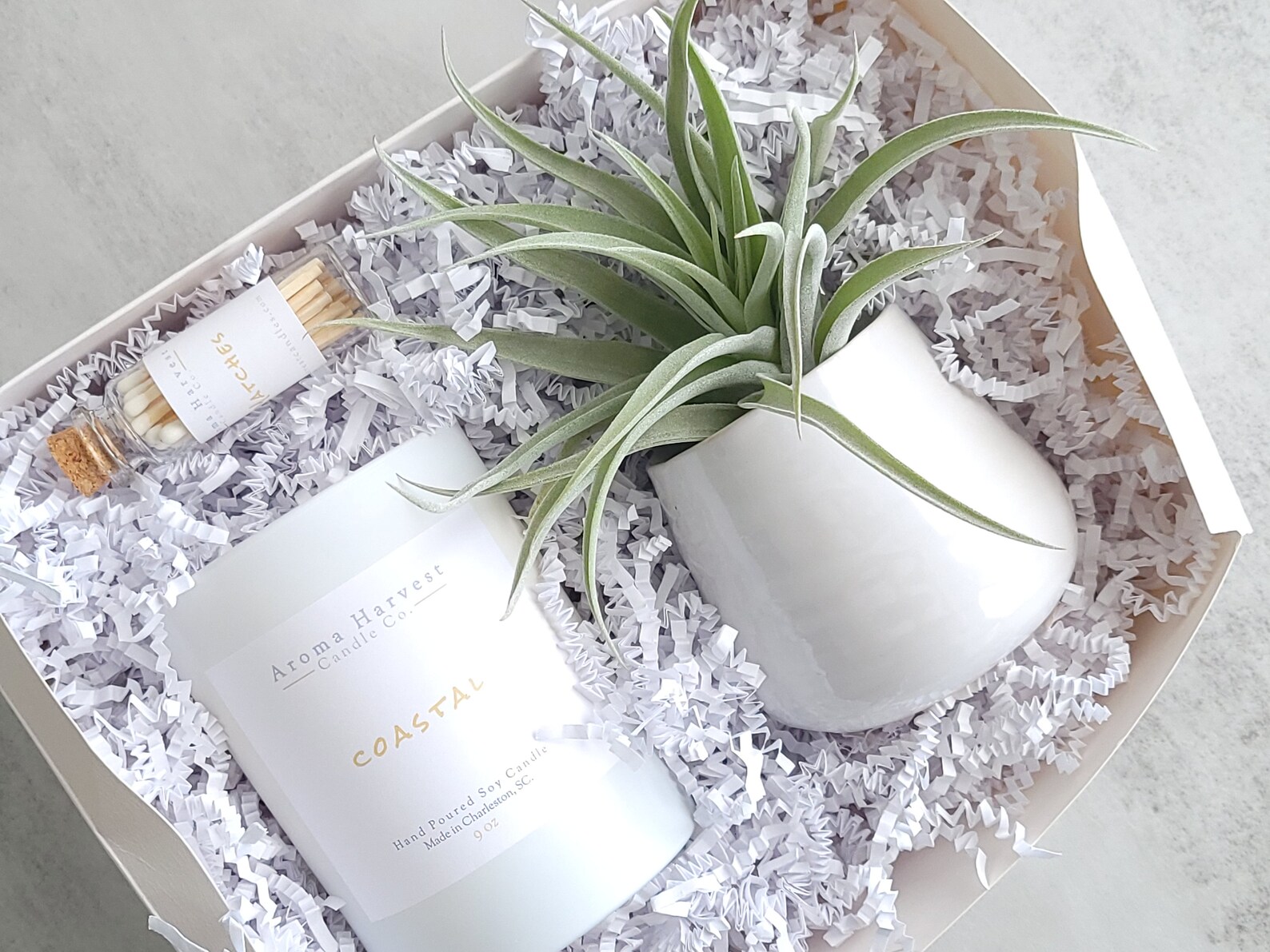 Candle & Large Air Plant Gift Box Thank You Gift Client - Etsy