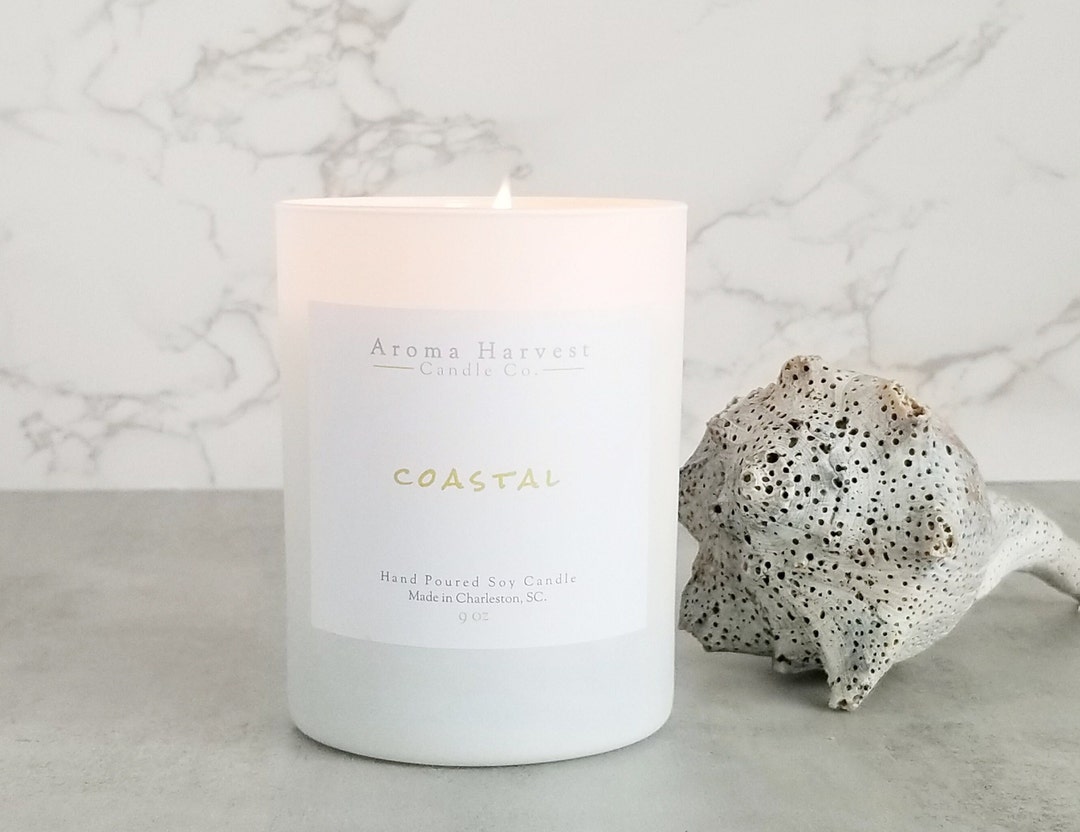 COASTAL- Soy Candle | Beachy Candle, Ocean Candle, Fresh Candle - Etsy