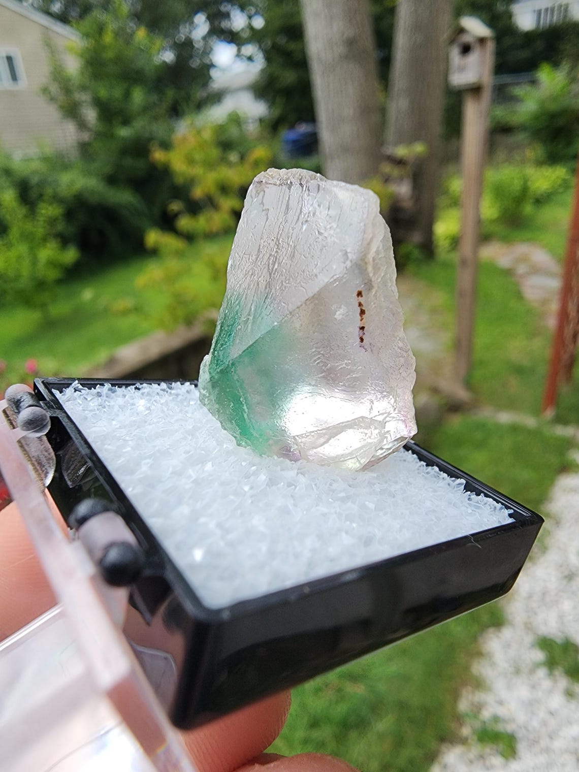 Fluorite Crystal From Erongo, Namibia - Etsy