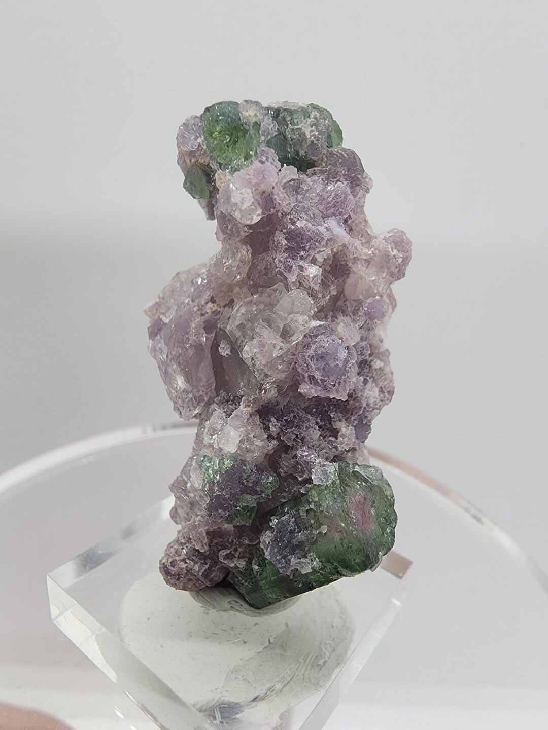 Watermelon Tourmaline in Quartz Lepidolite Matrix Minas Gerais, Brazil ...