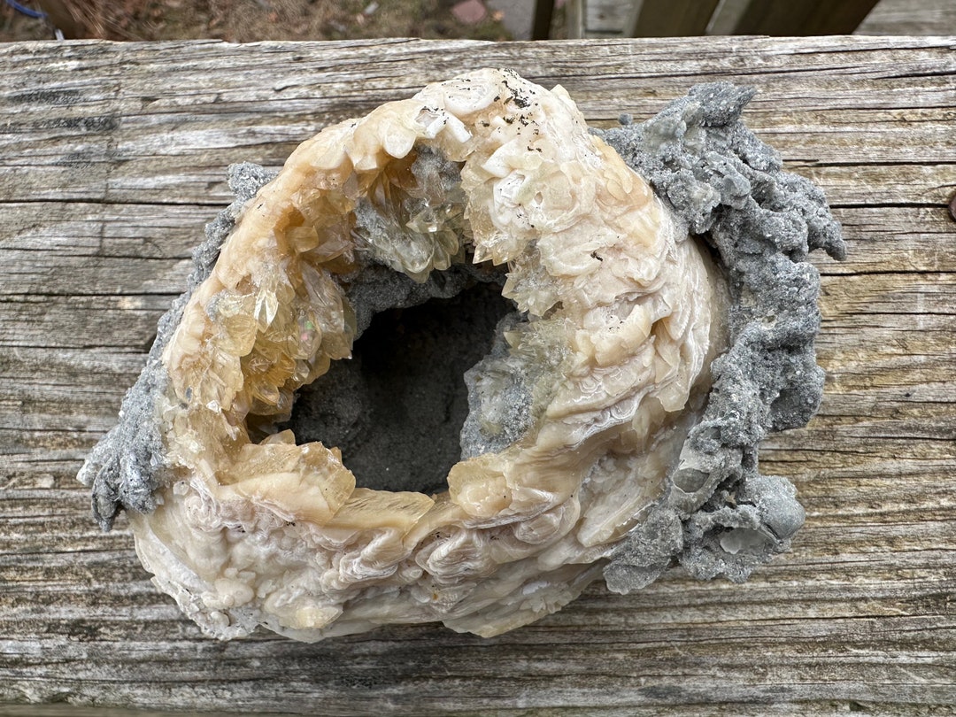 Calcite in Fossilized Clam From Rucks' Pit Florida USA - Etsy
