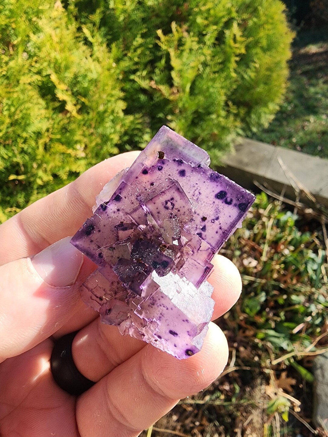 Fluorite From Cave in Rock District, Hardin County, Illinois - Etsy