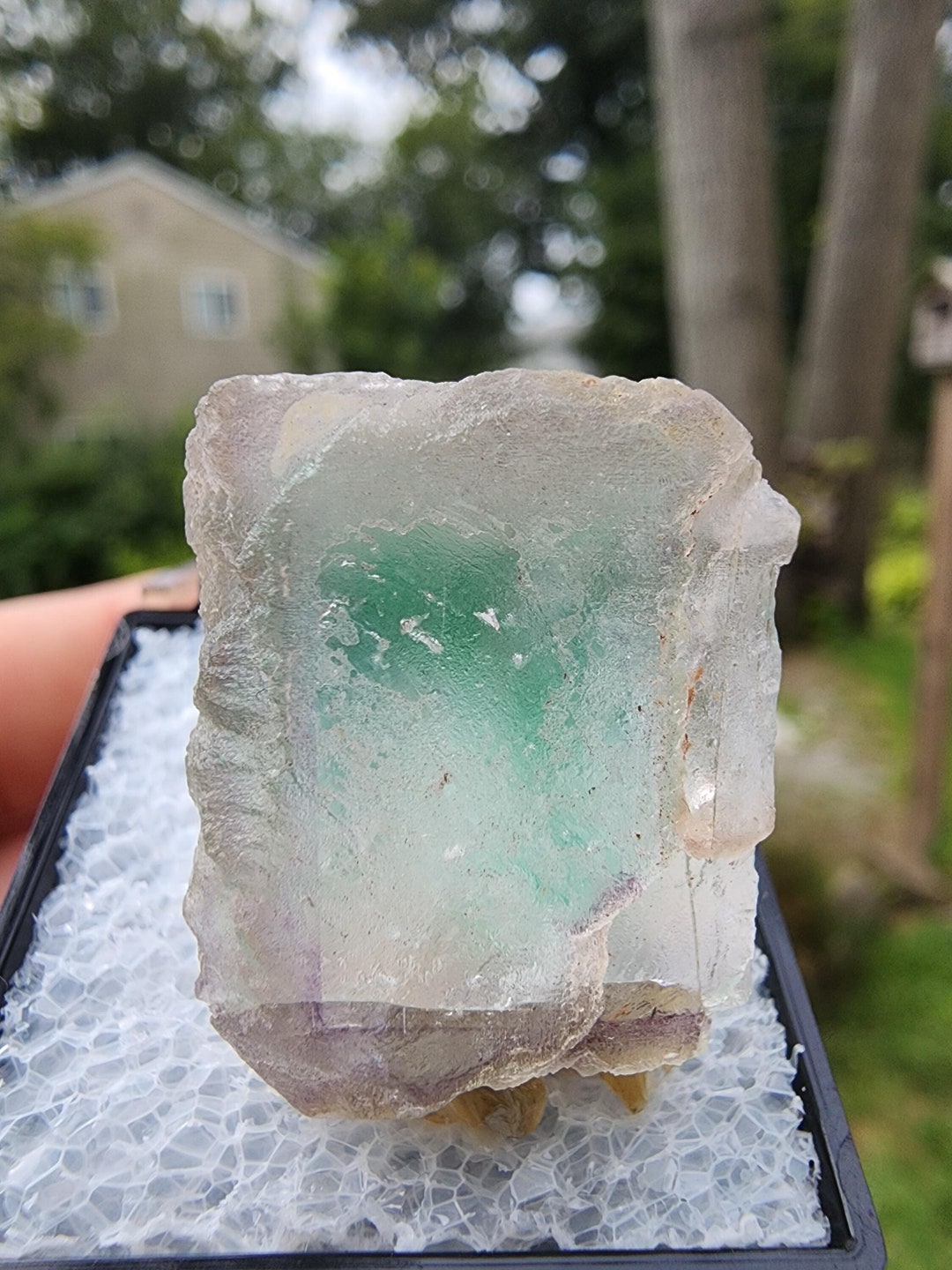 Fluorite Crystal From Erongo, Namibia - Etsy