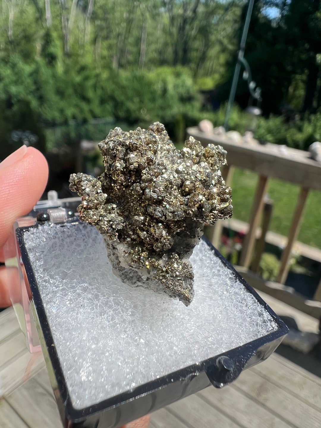 Rare Locality Pyrite From Pennsylvania USA - Etsy