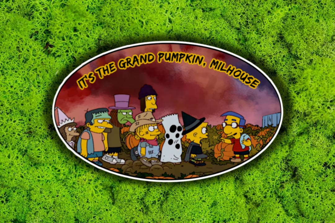 Its the Grand Pumpkin Milhouse - Etsy