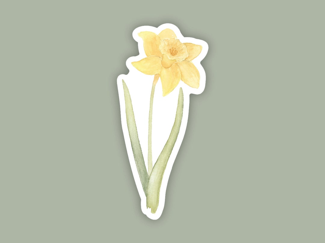 Daffodil Sticker Watercolor Flower Sticker Waterproof Spring Yellow ...
