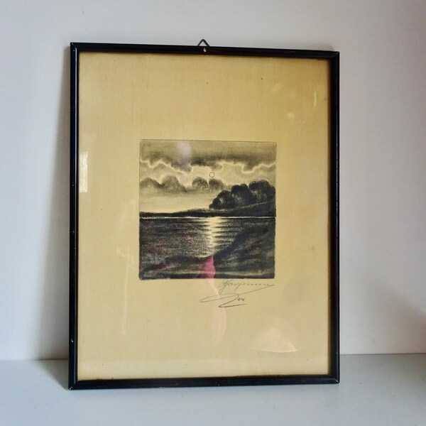 1920s Nature Print - Etsy