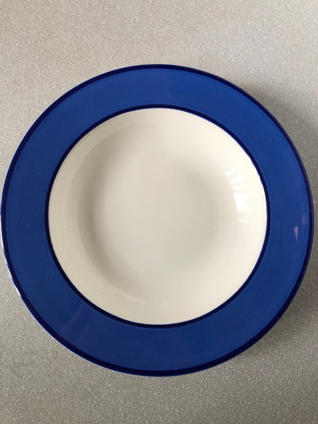 Italian Pasta Dish Plate Pagnossin Glazed Ironstone Blue White Pattern ...