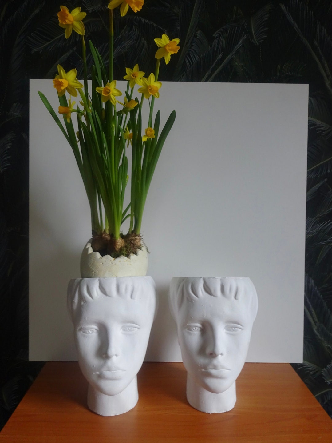 Plaster Pots Planters Flowers Gypsum Mold Man Thin Face for Garden ...