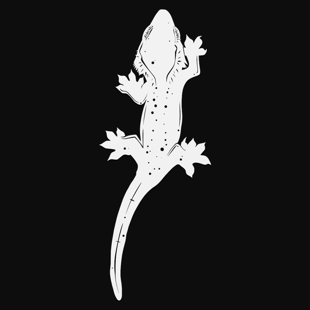 Crested Gecko Svg Cut File, Lizard Glowforge File, Vinyl Template ...