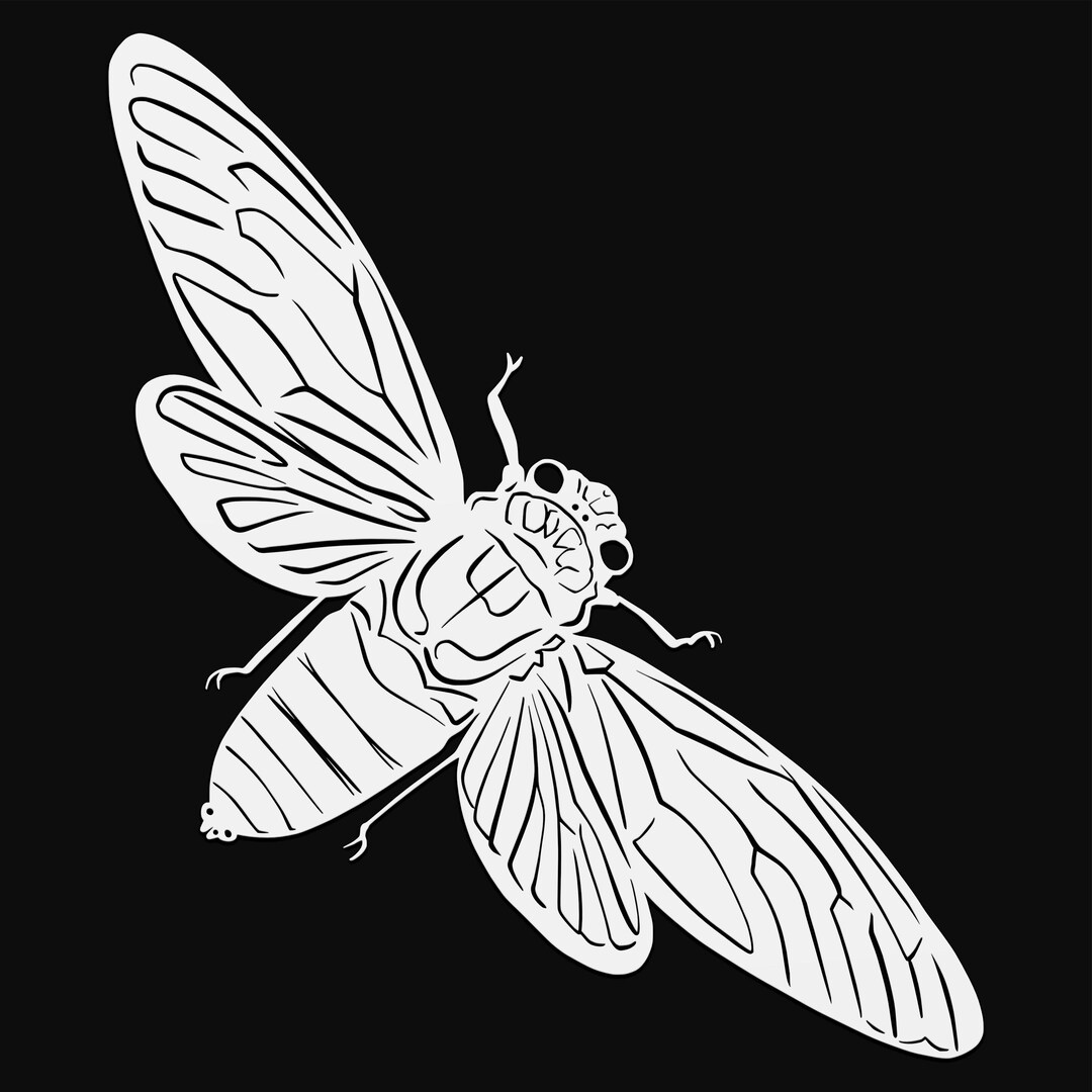 Cicada Svg Cut File, Glowforge File, Monarch Vinyl Template, Cicada ...