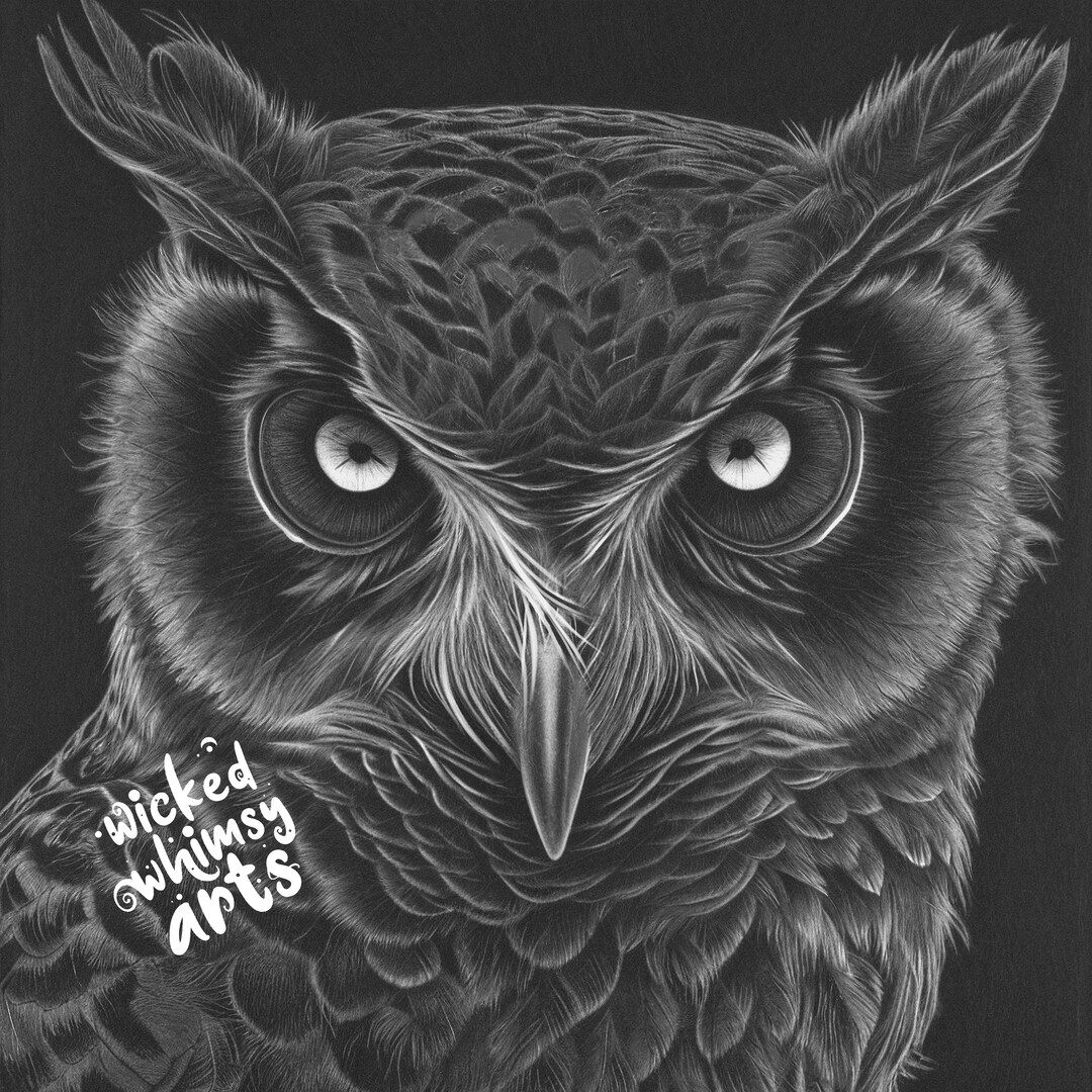 Owl Etching by Wicked Whimsy Arts Png for Co2 Wood Engraving Drawing 481 - Etsy