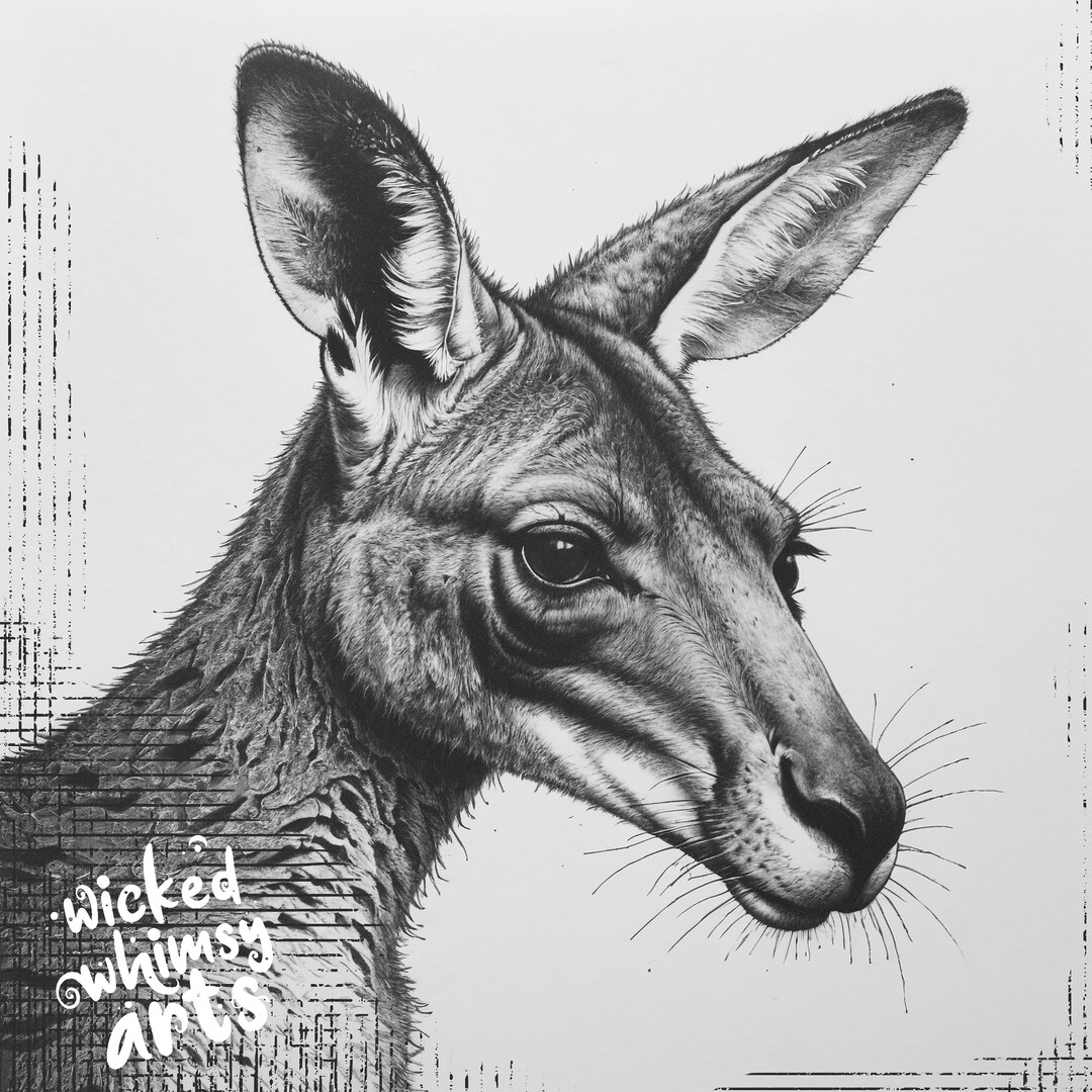 Kangaroo Etching by Wicked Whimsy Arts Png for Co2 Wood Engraving Drawing 485 - Etsy