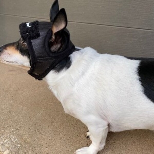 Aviator Cat Hat - Etsy