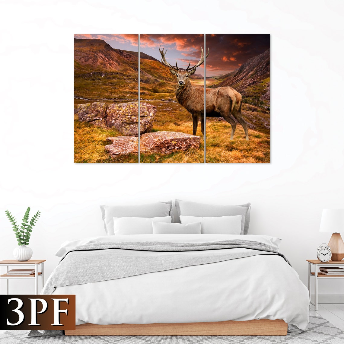 Deer Canvas Wildlife Print Animals Print Wildlife Wall Art - Etsy