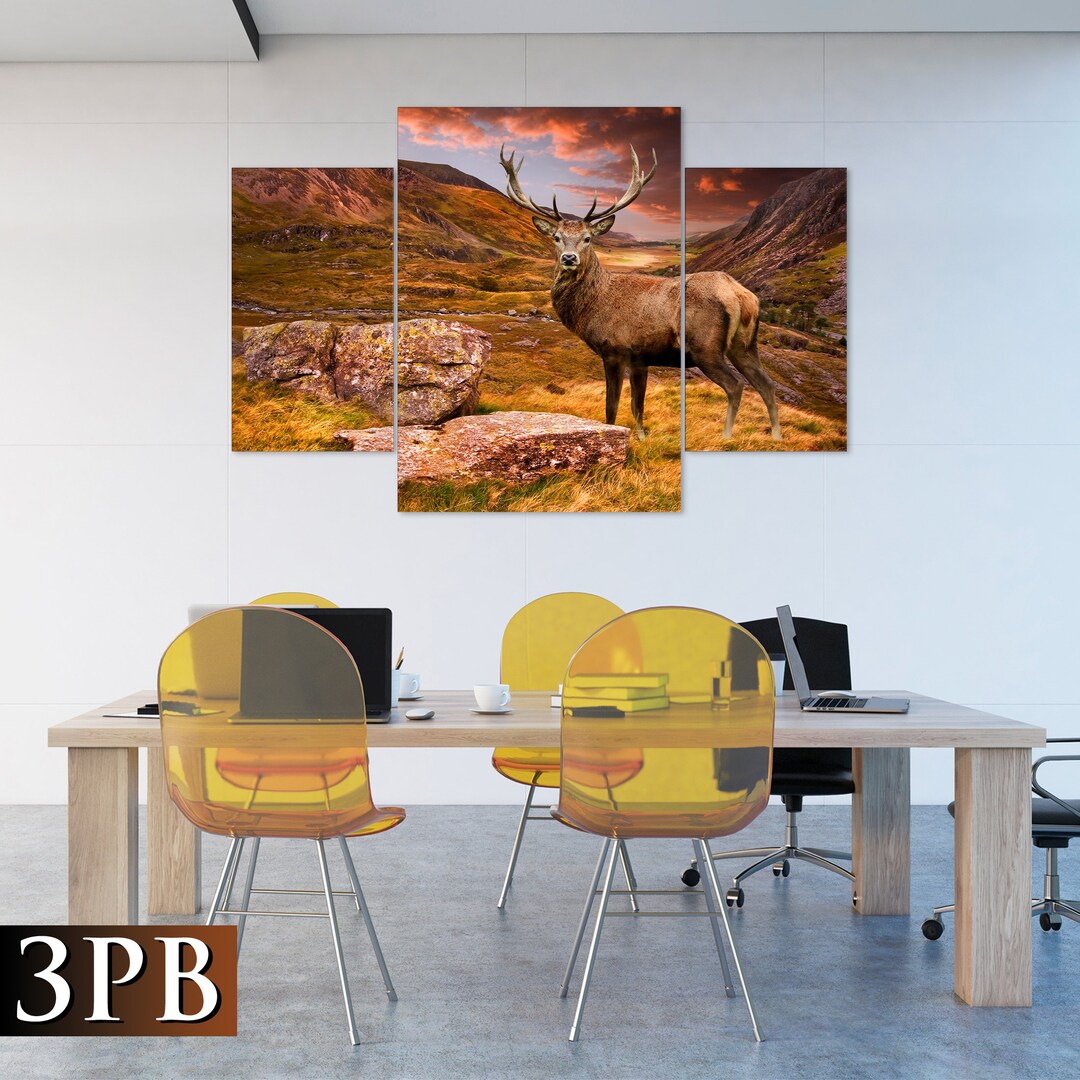 Deer Canvas Wildlife Print Animals Print Wildlife Wall Art - Etsy