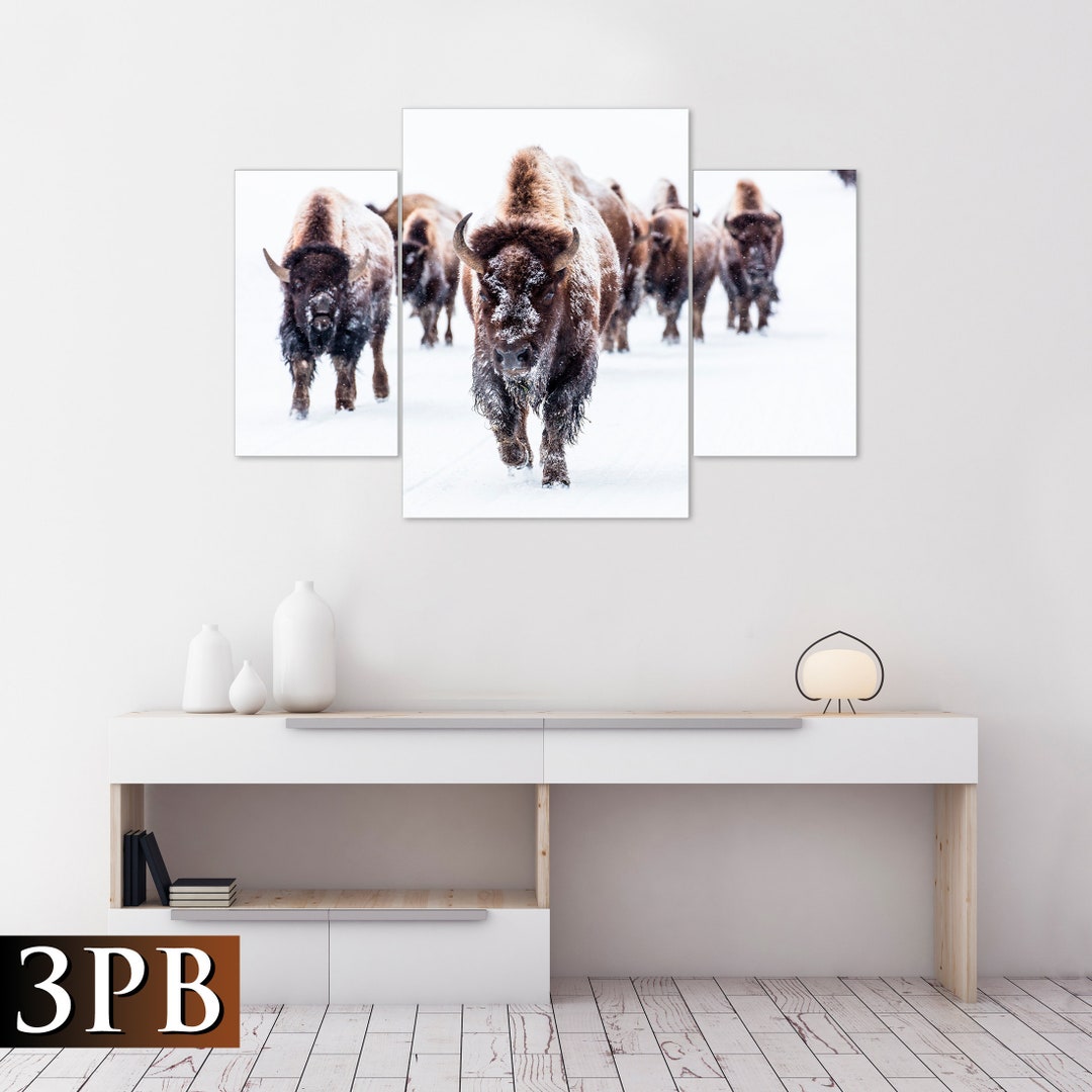 Bison Canvas, Animals Wall Art, Wildlife Print, Buffalo, Wild Animals ...