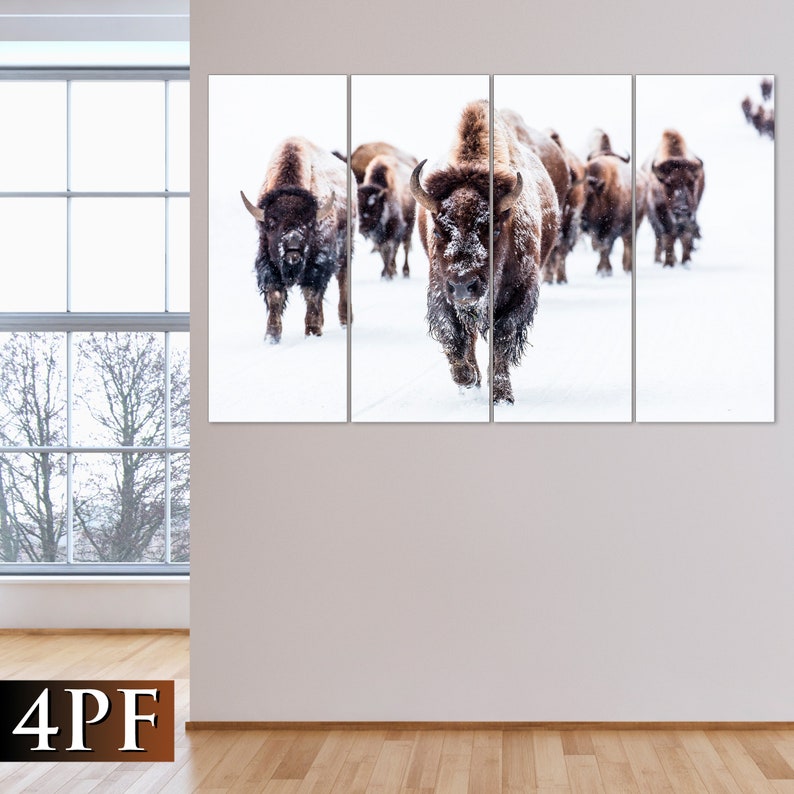 Bison Canvas Animals Wall Art Wildlife Print Buffalo Wild - Etsy