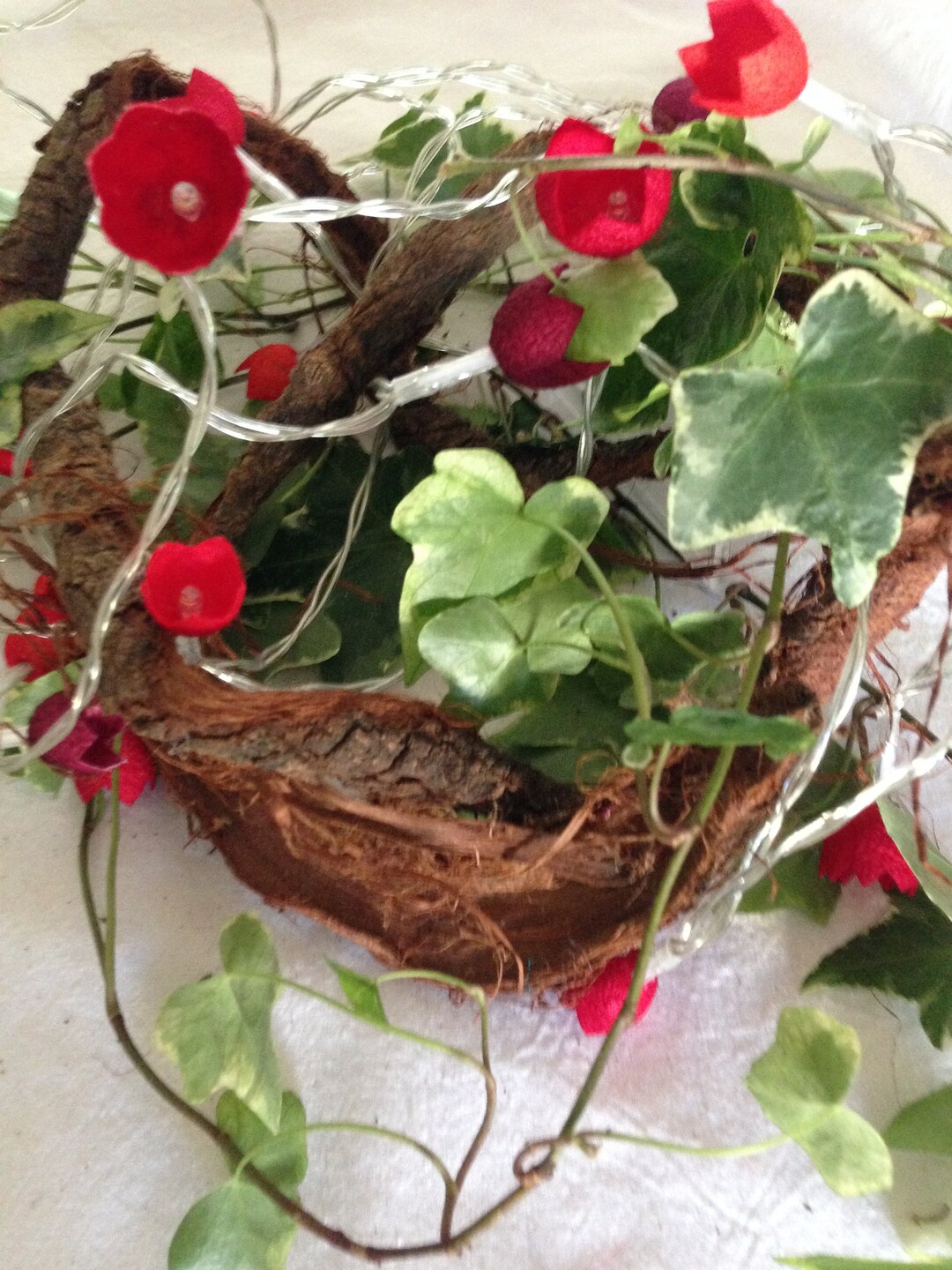 Fairy Lights With Dyed Silk Cocoons red - Etsy