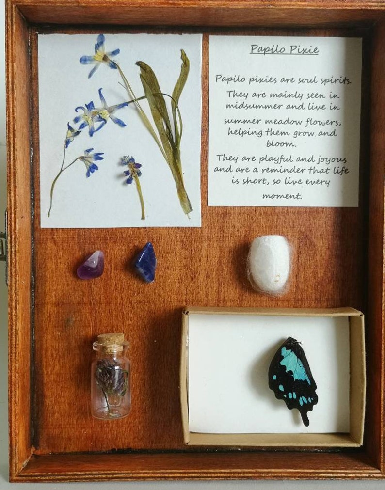 Curiosity Box Art Box Pixie Doll - Etsy UK