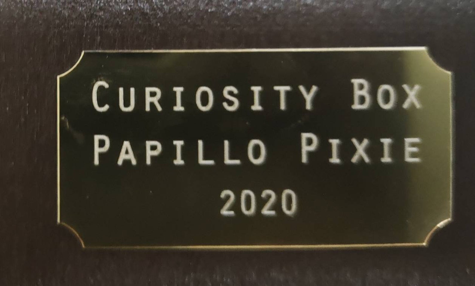 Curiosity Box Art Box Pixie Doll - Etsy UK