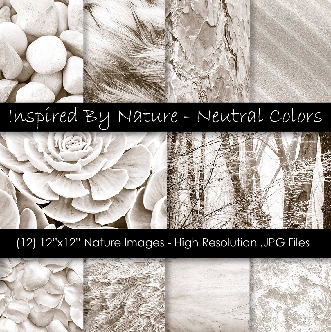 Neutral Textures From Nature Neutral Background Images - Etsy