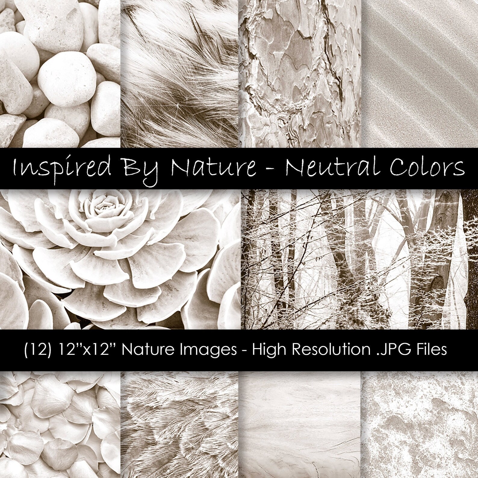 Neutral Textures From Nature Neutral Background Images Nature Inspired ...