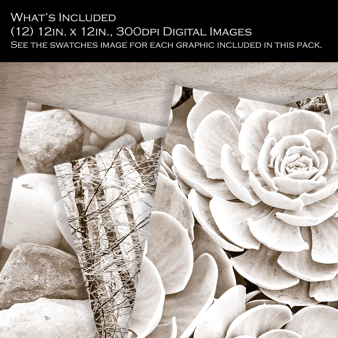 Neutral Textures From Nature Neutral Background Images - Etsy