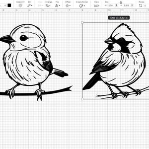 Bird Illustration Clipart SVG Bundle: Robin, Cardinal, Woodpecker and ...