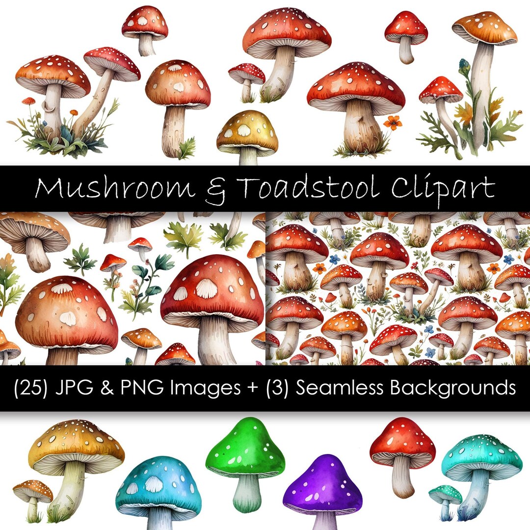 Mushroom Clipart Bundle - Toadstool Clipart - Multi-color Mushrooms Jpg ...