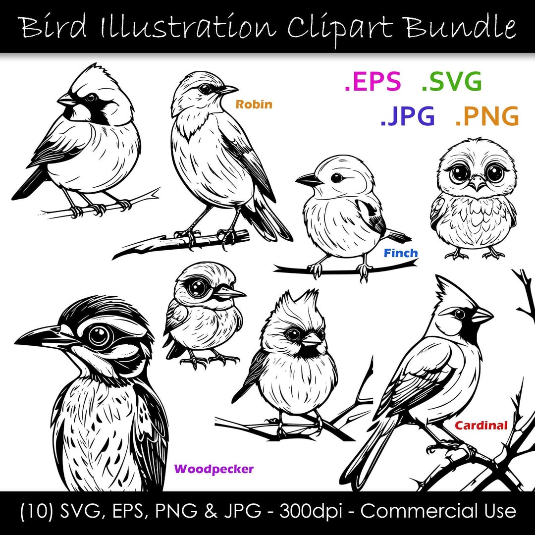 Bird Illustration Clipart SVG Bundle: Robin, Cardinal, Woodpecker and ...
