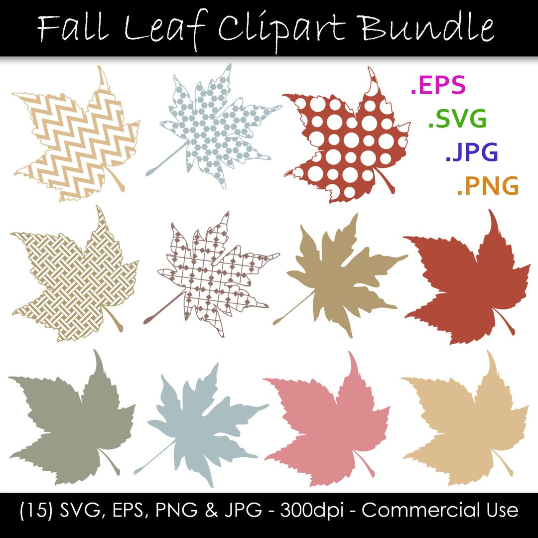 Fall Leaf SVG Clipart Bundle - Fall Leaf Stencils - Autumn Leaf Cut ...