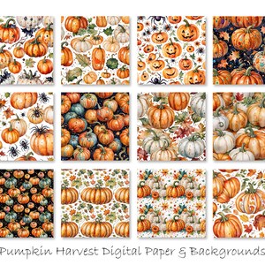 Pumpkin Harvest Digital Papers - Seamless Fall Harvest Backgrounds ...