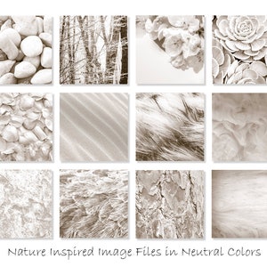 Neutral Textures From Nature - Neutral Background Images - Nature ...