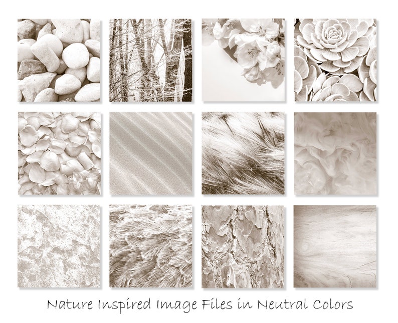 Neutral Textures From Nature Neutral Background Images - Etsy