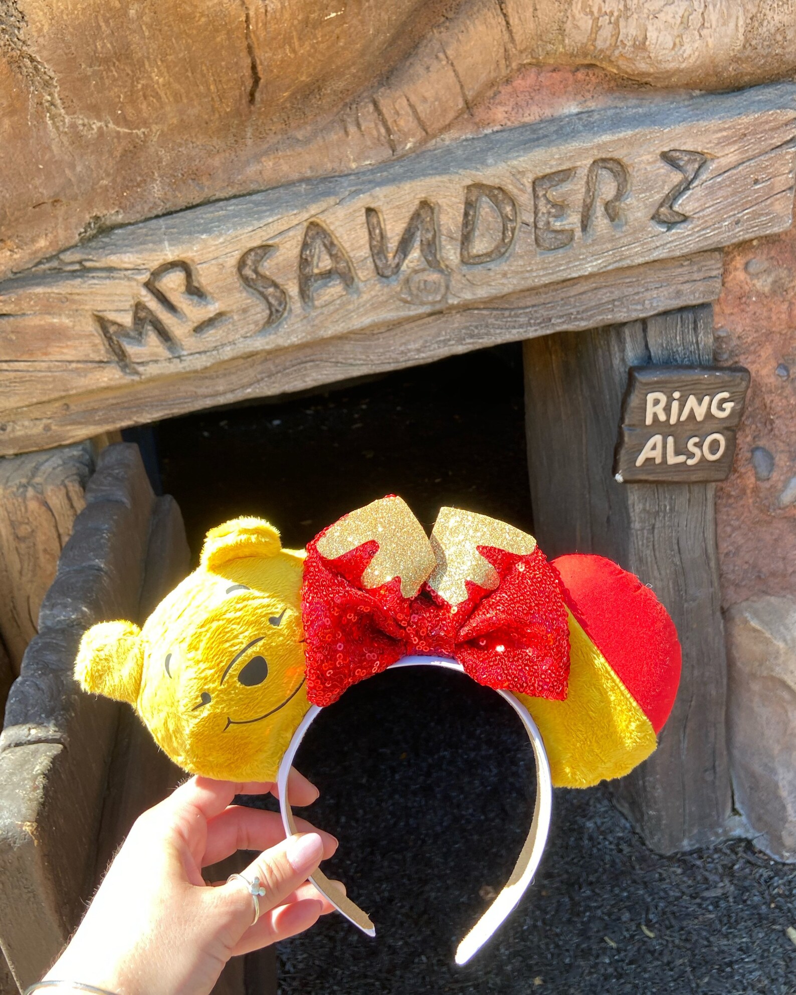 Winnie the Pooh Inspired Disney / Mickey Ears / Honey Drip Hundred Acre ...