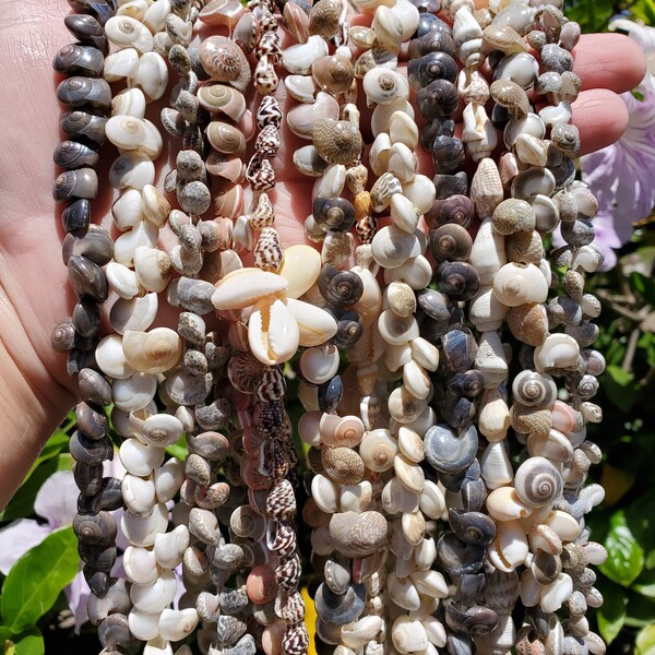 Shell Lei - Etsy